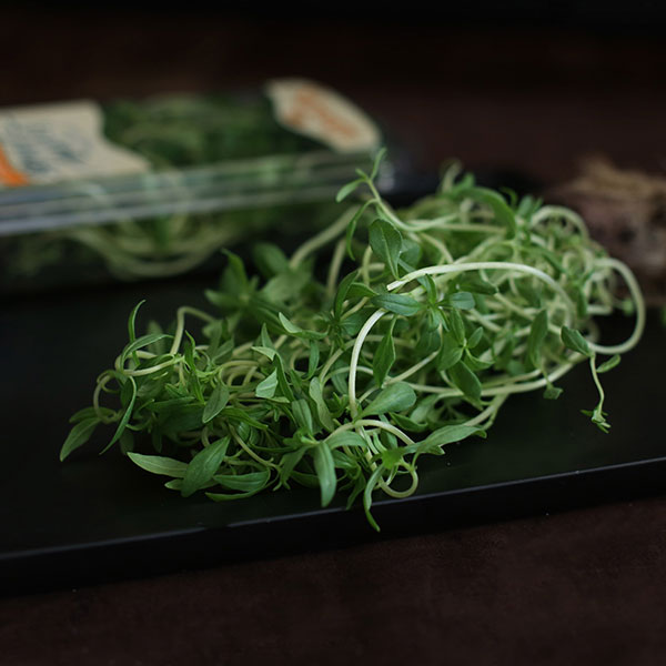 Savory | Fresh Gourmet Herbs | Cooking Tips - North Shore Living Herbs